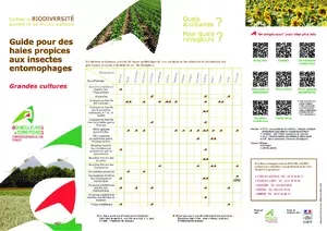 Guide pour des haies propices aux insectes entomophages - Grandes ...